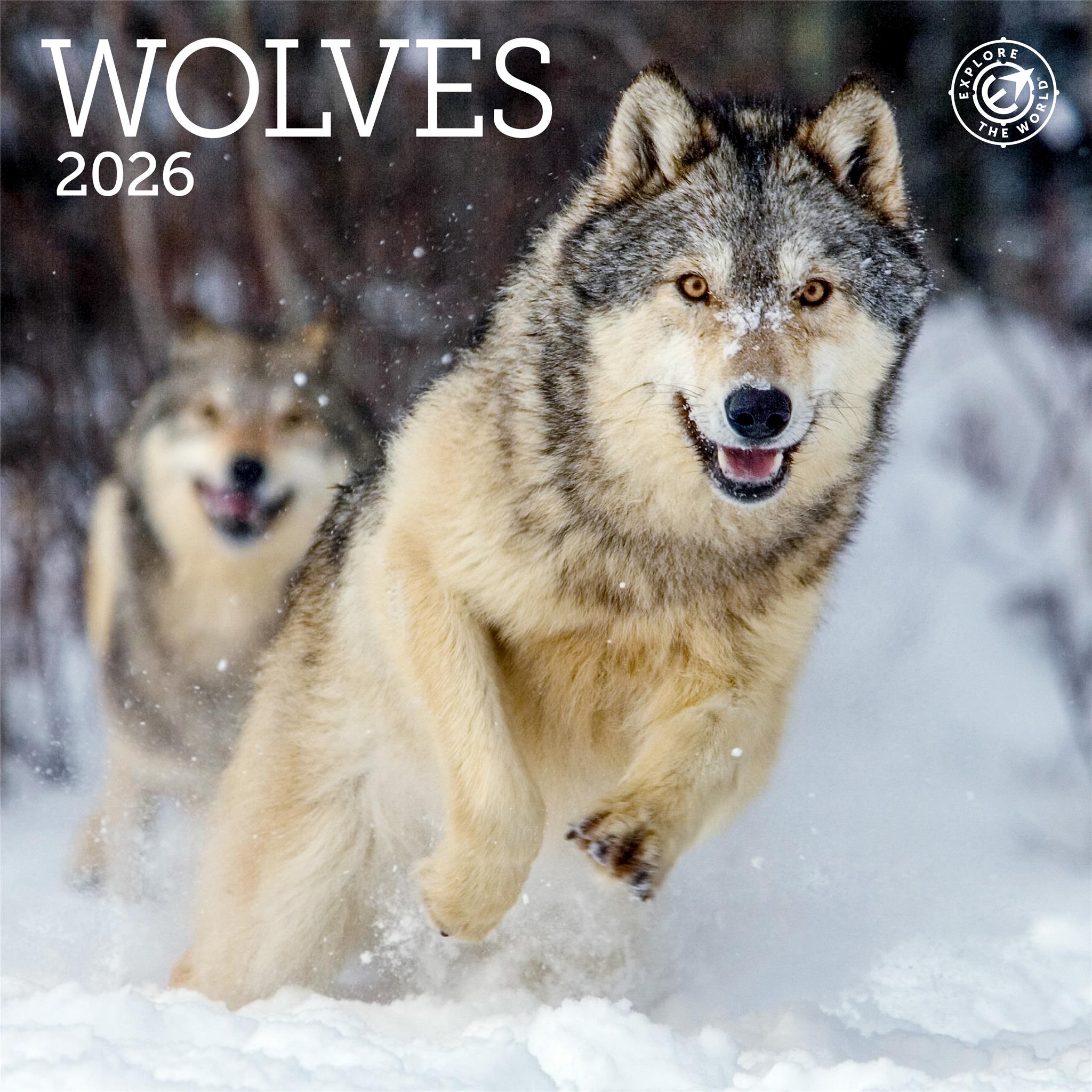 Wolves 2026 Mini Calendar