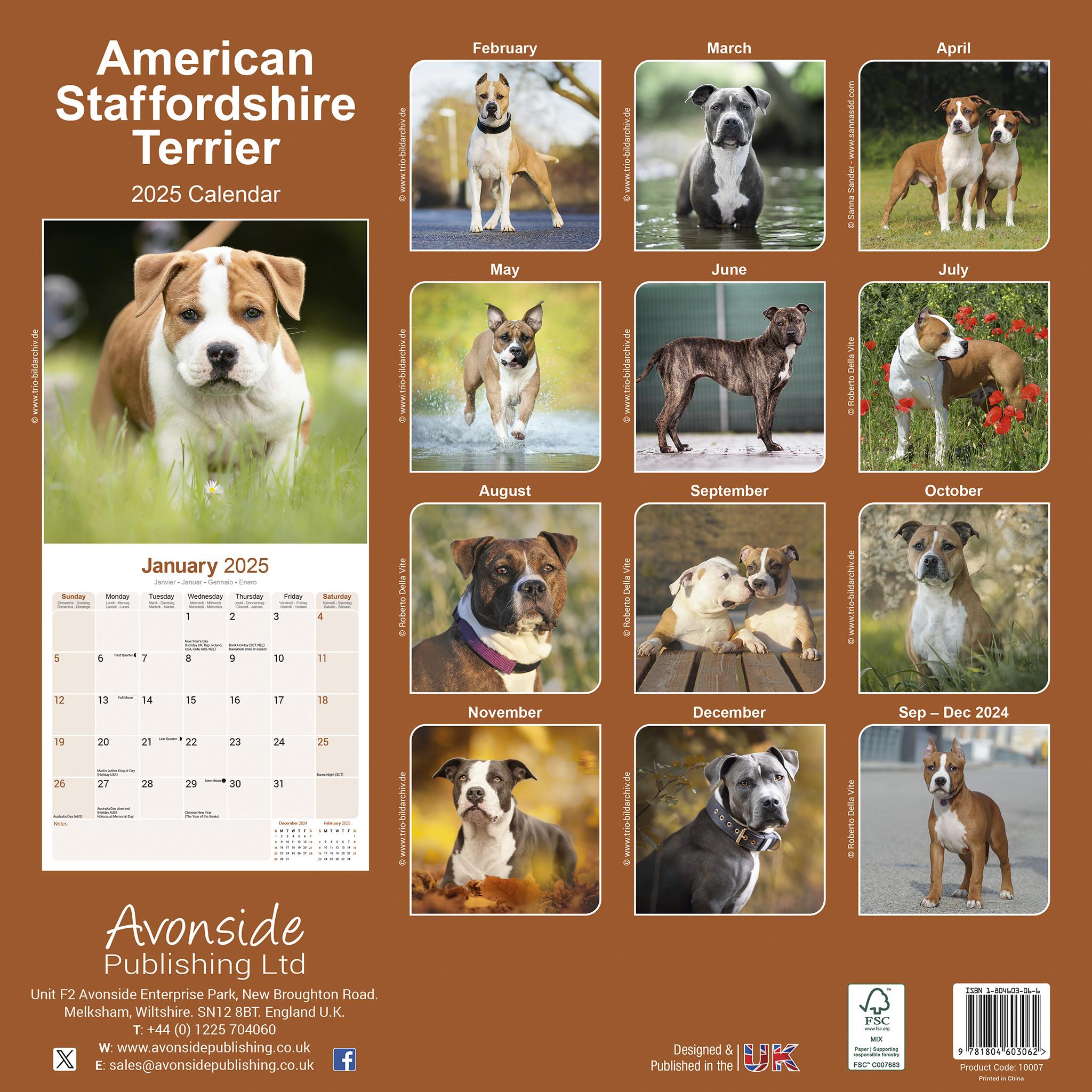 Dog Calendars | Calendar Club of Canada