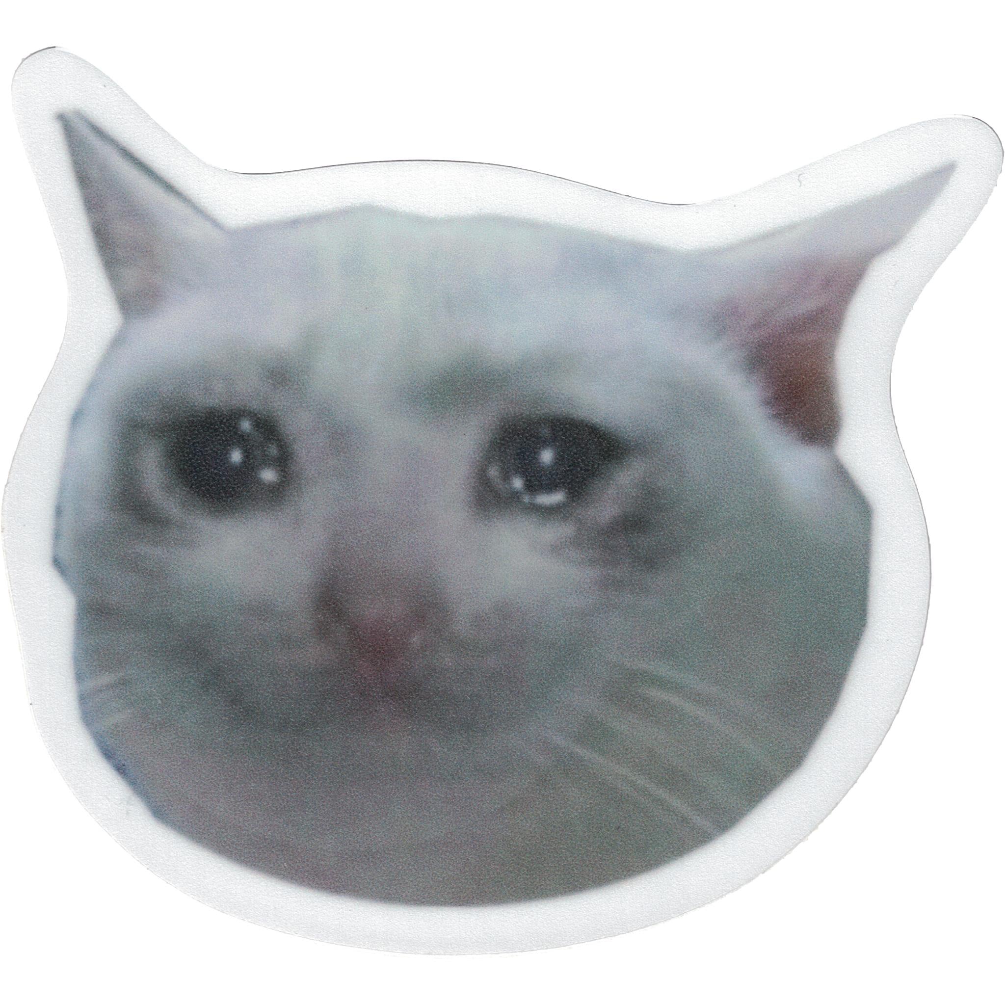 Crying Cat Meme by StickerYou | Calendar Club