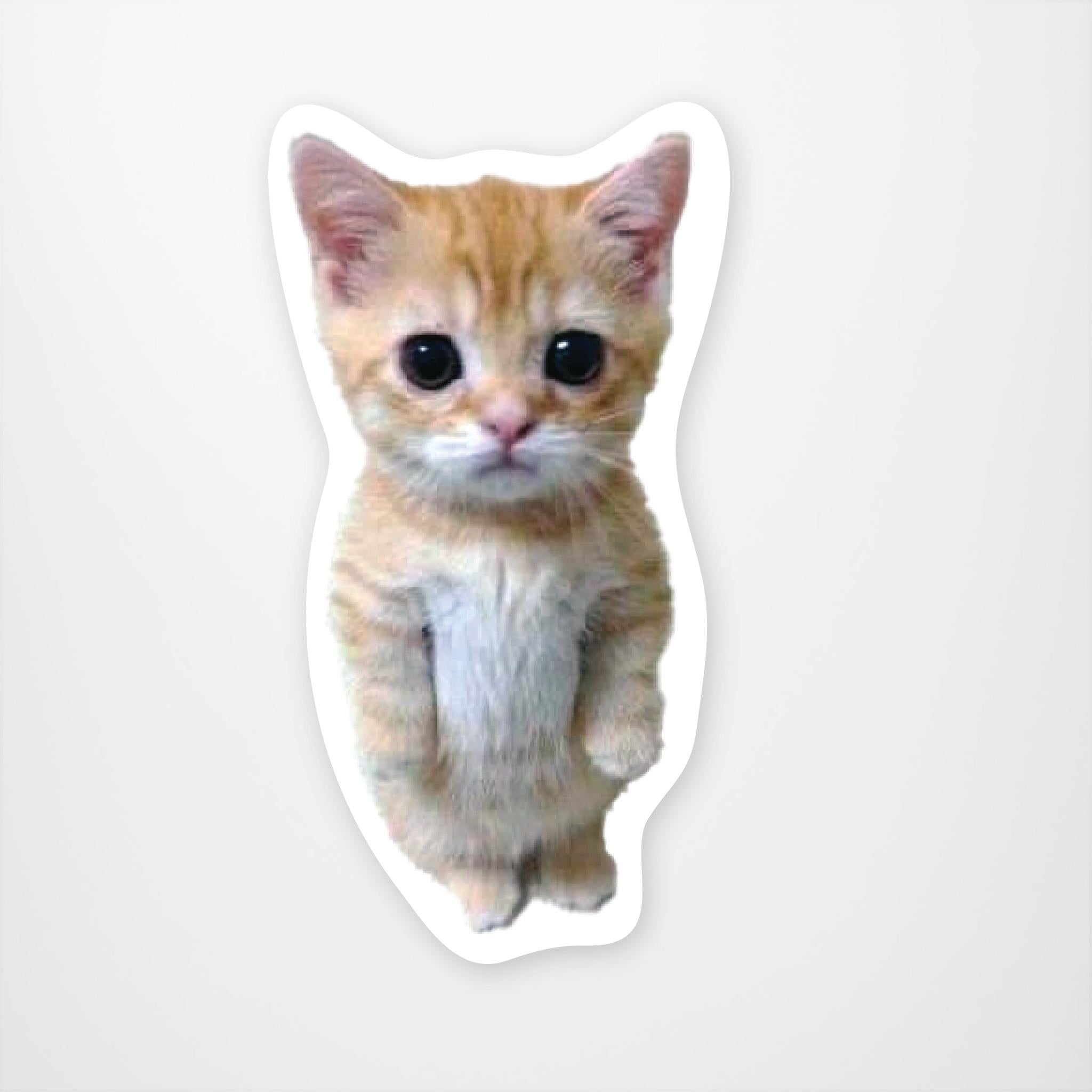 Standing Kitty Meme Vinyl Sticker