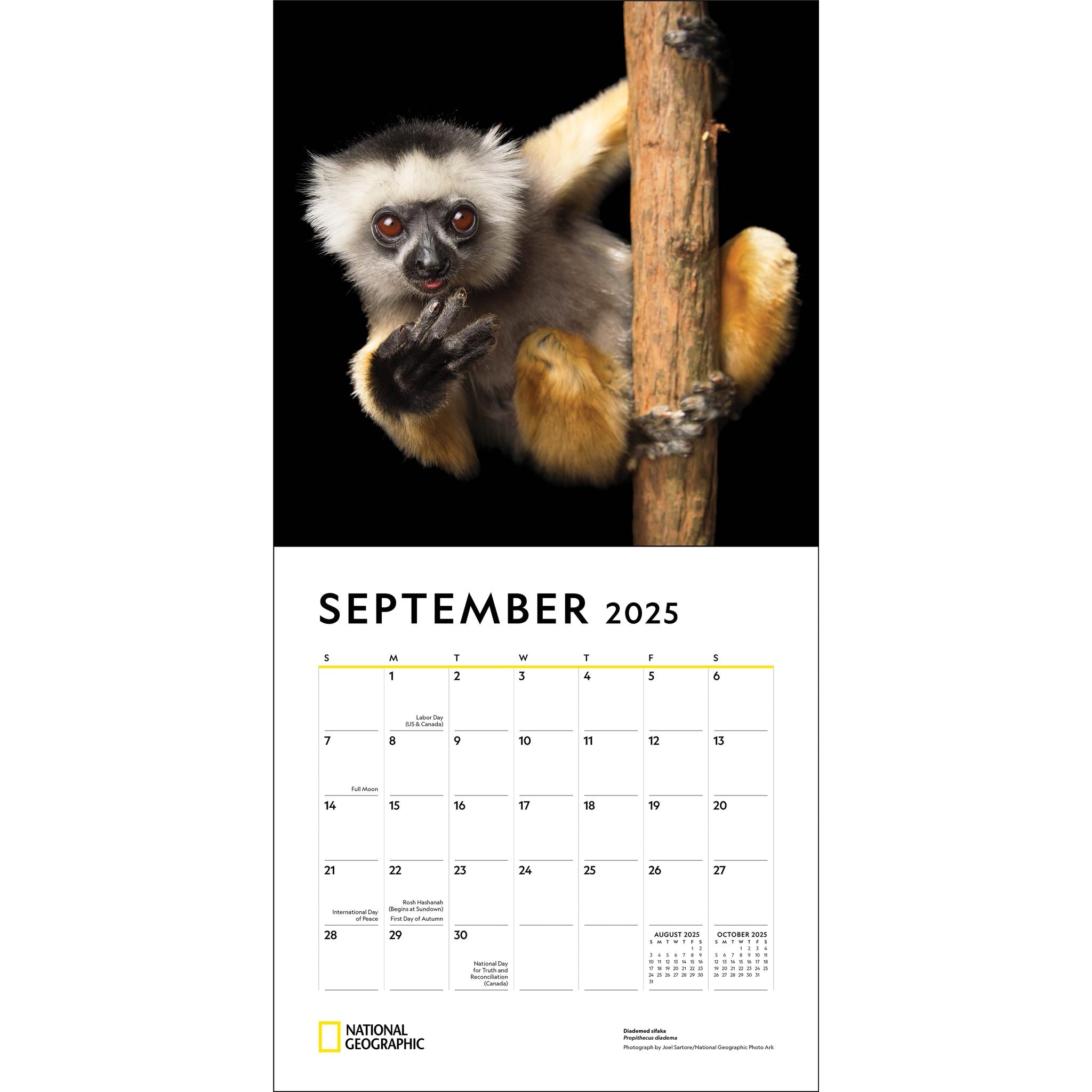 Shop National Geographic Calendars | Calendar Club of Canada