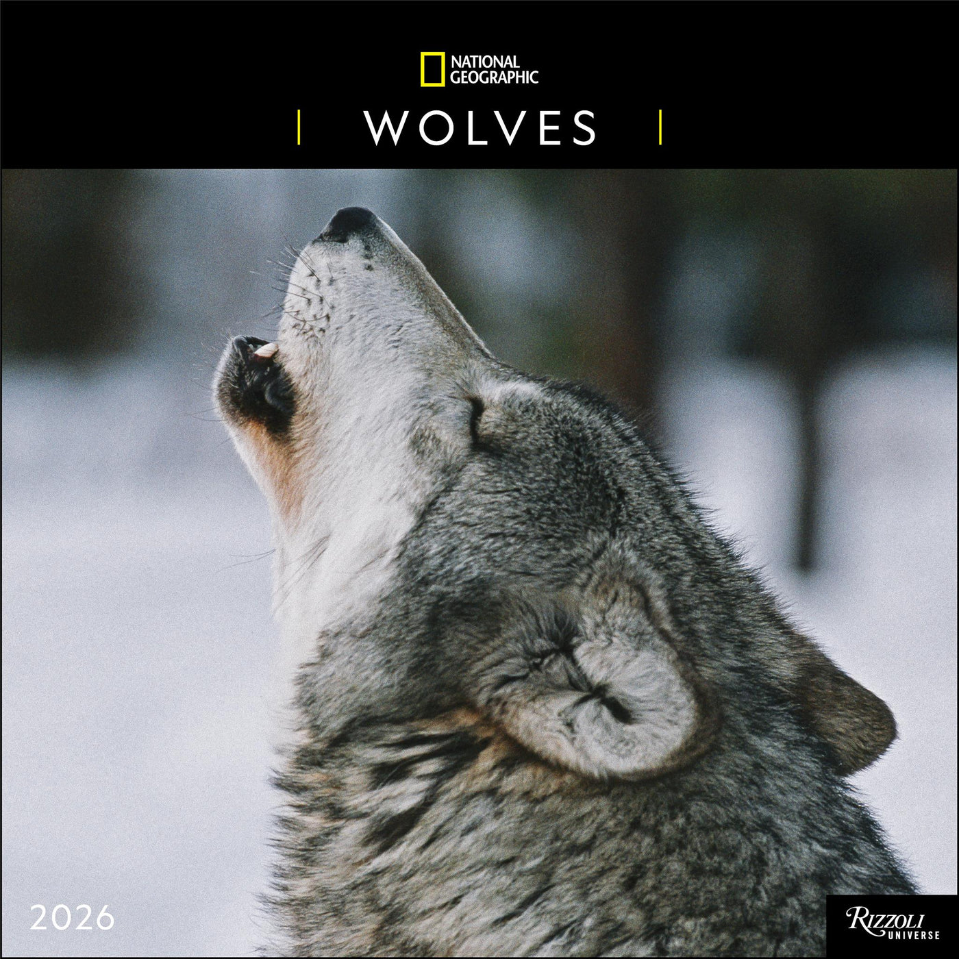 Shop National Geographic Calendars | Calendar Club of Canada