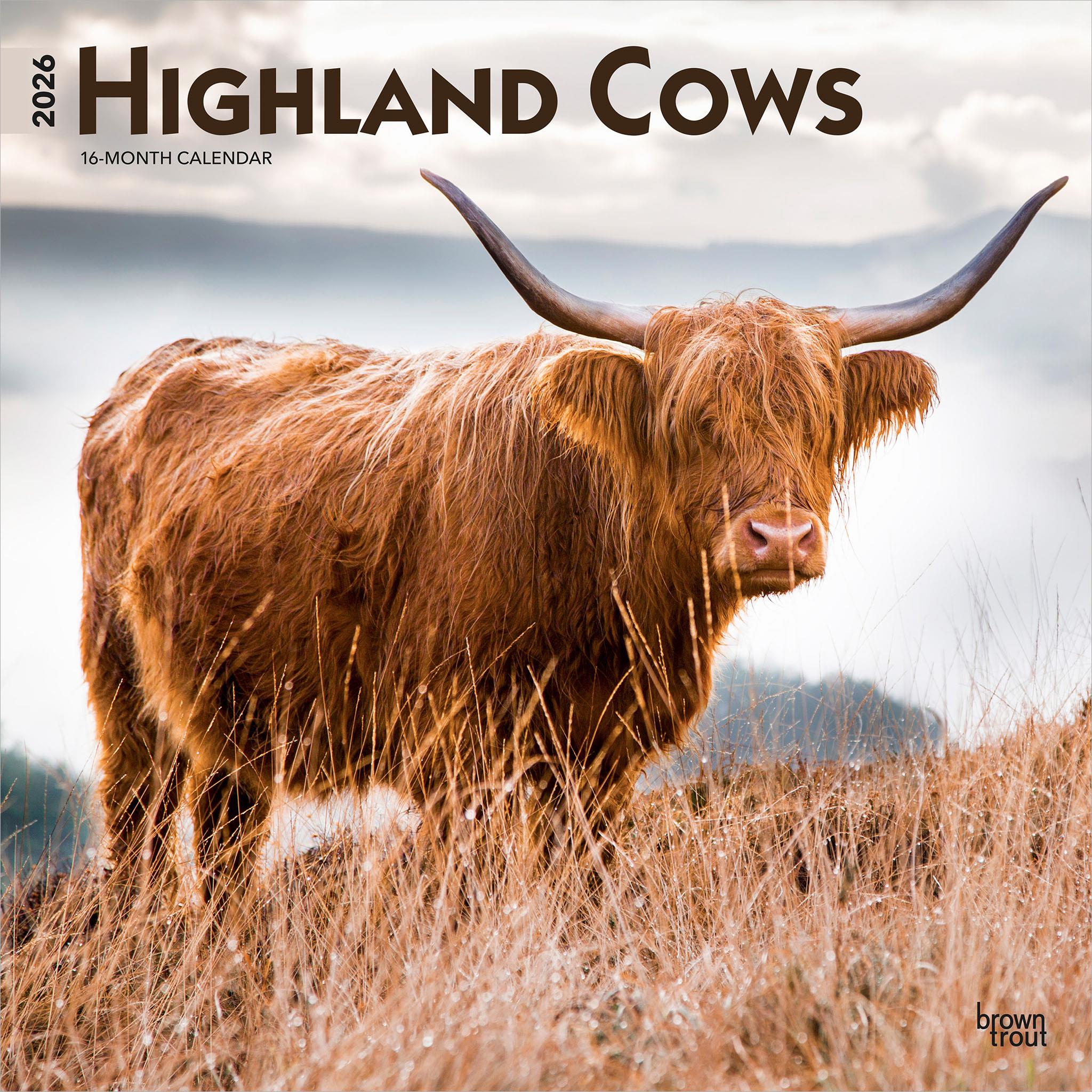 Highland Cows 2026 Wall Calendar
