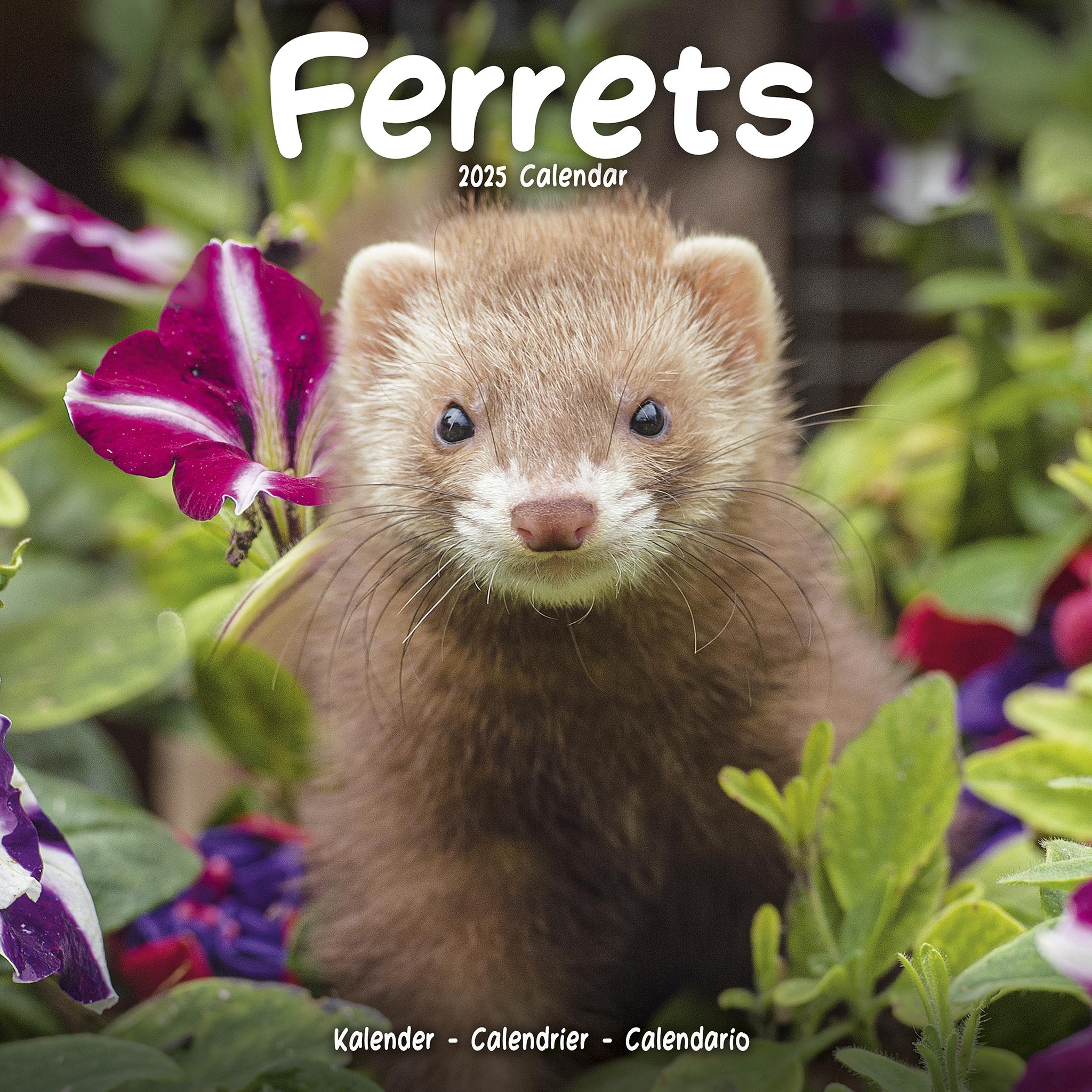 2025 Animal Calendars | Calendar Club of Canada