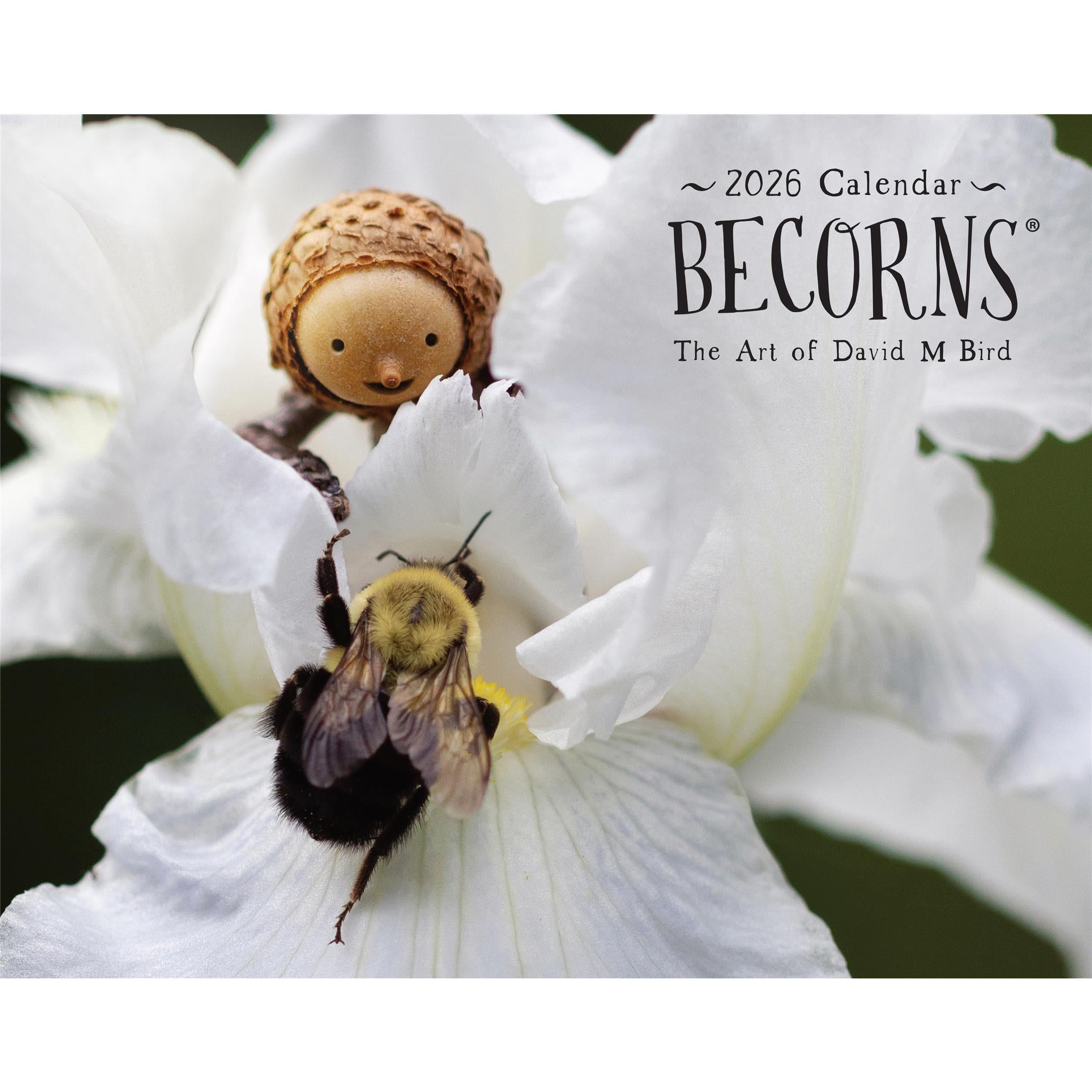 Becorns 2026 Wall Calendar