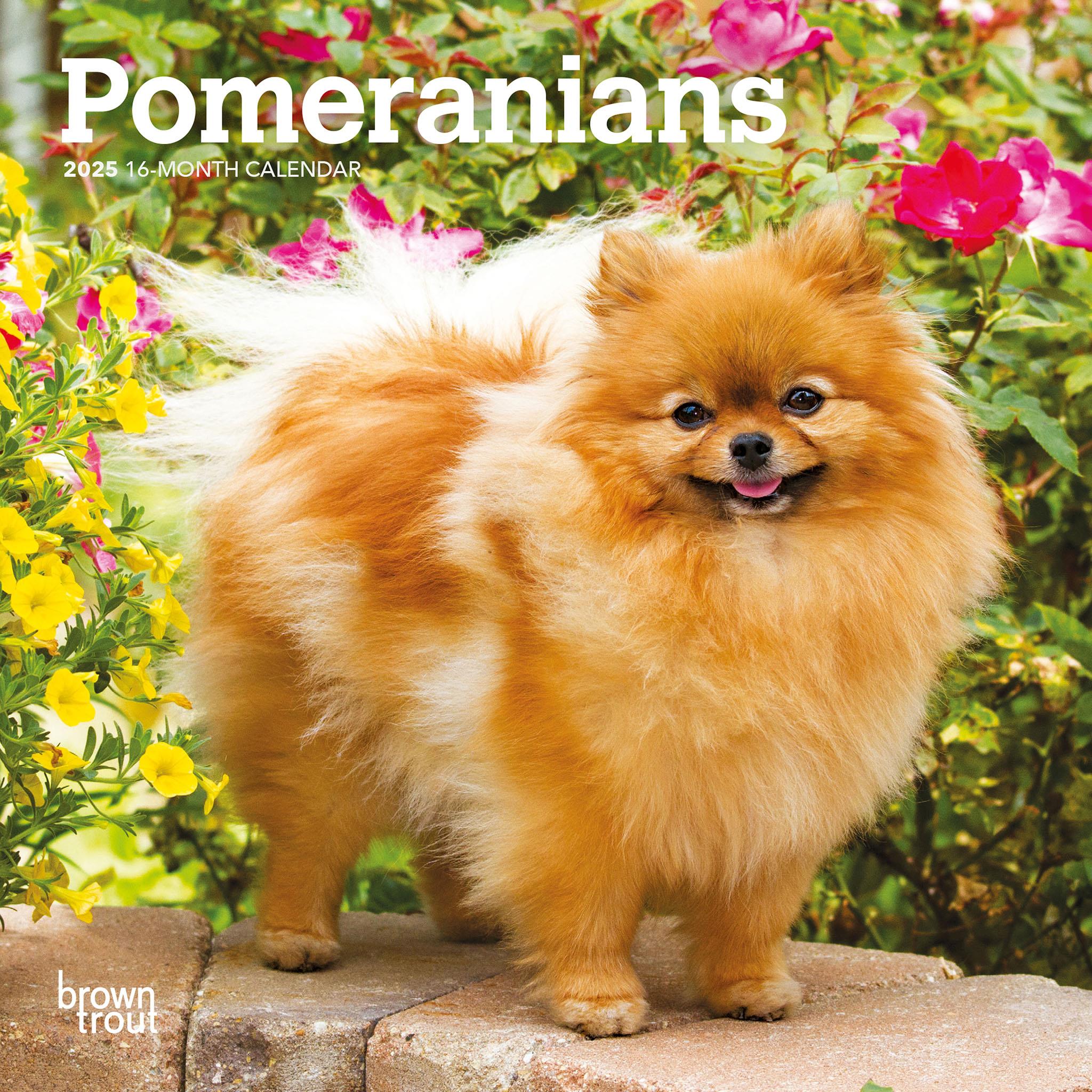 Dog Calendars | Calendar Club of Canada – Page 8
