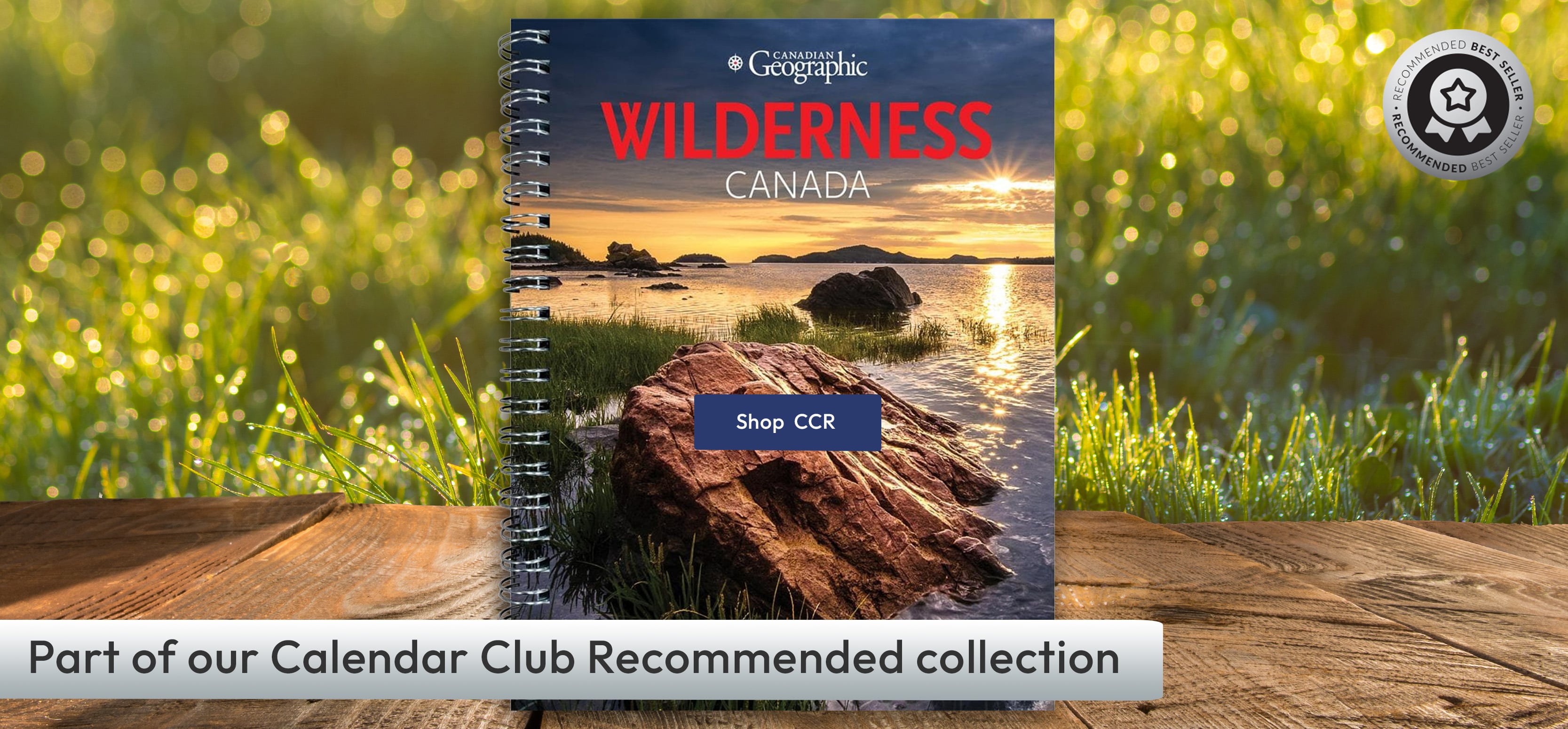 Calendar Club Canada | Shop Calendars, Toys, Games & Puzzles