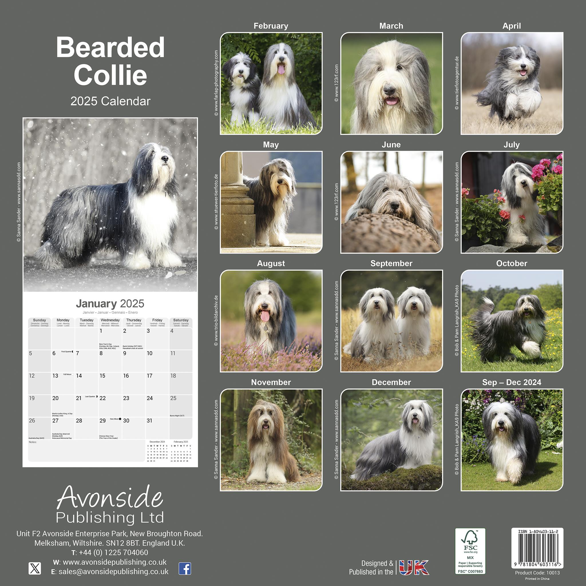 Dog Calendars | Calendar Club of Canada