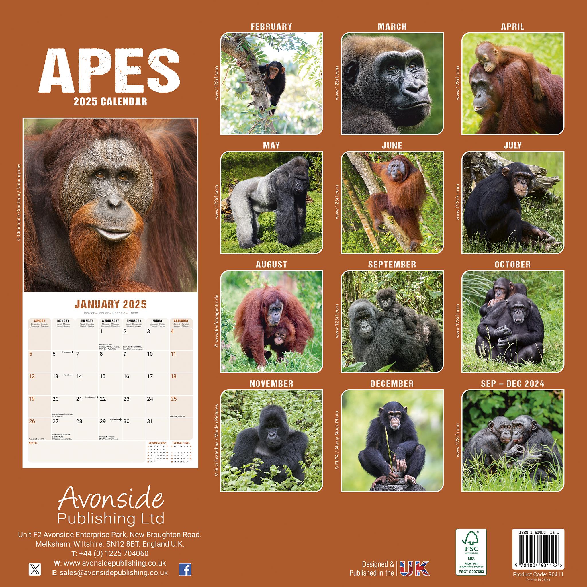 2025 Animal Calendars | Calendar Club of Canada