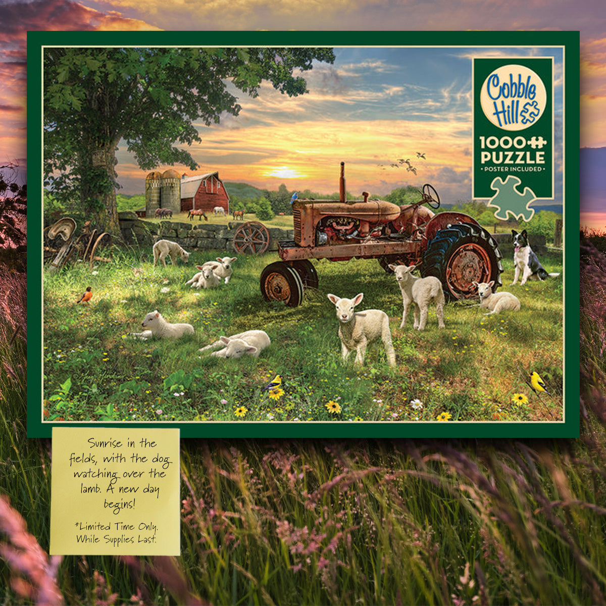 SI - Sports Illustrated Calendars | Calendar Club Canada