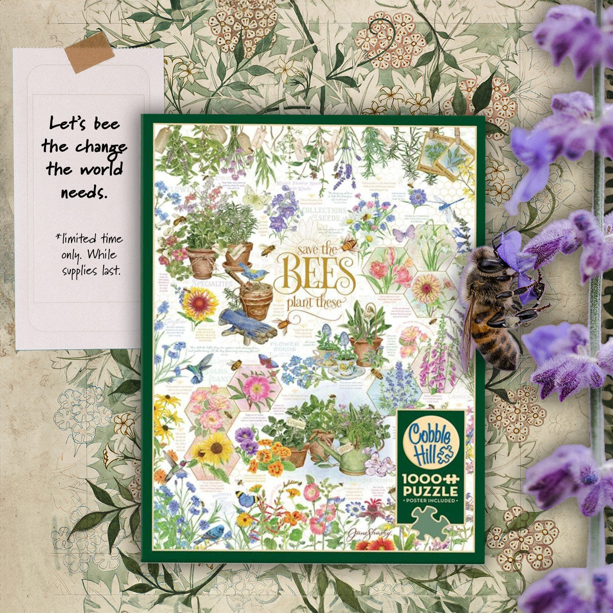 Shop 2024 Box Calendars | Calendar Club of Canada